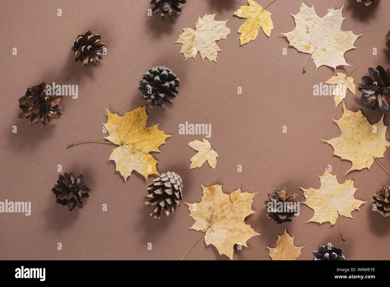 Autumn leaves pattern with bumps on brown background. Creative nature ...