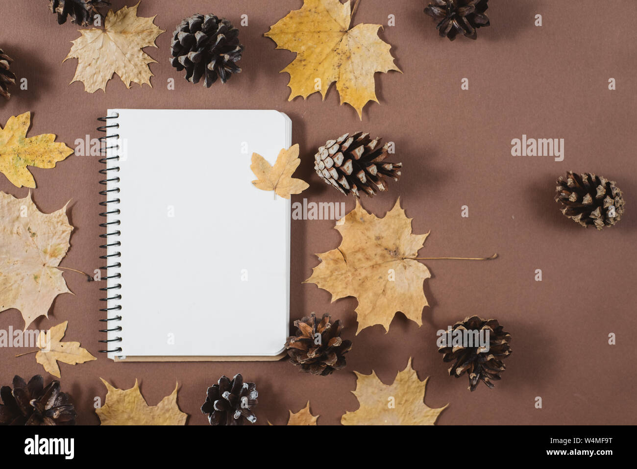 Bumps on leaves hi-res stock photography and images - Alamy