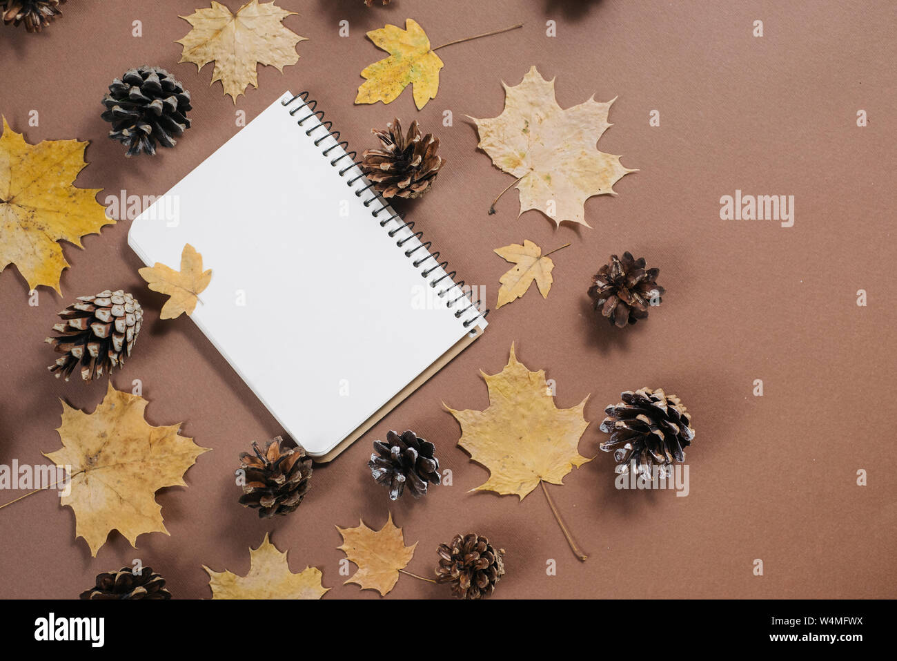 Autumn leaves pattern with bumps and notebook on brown background ...