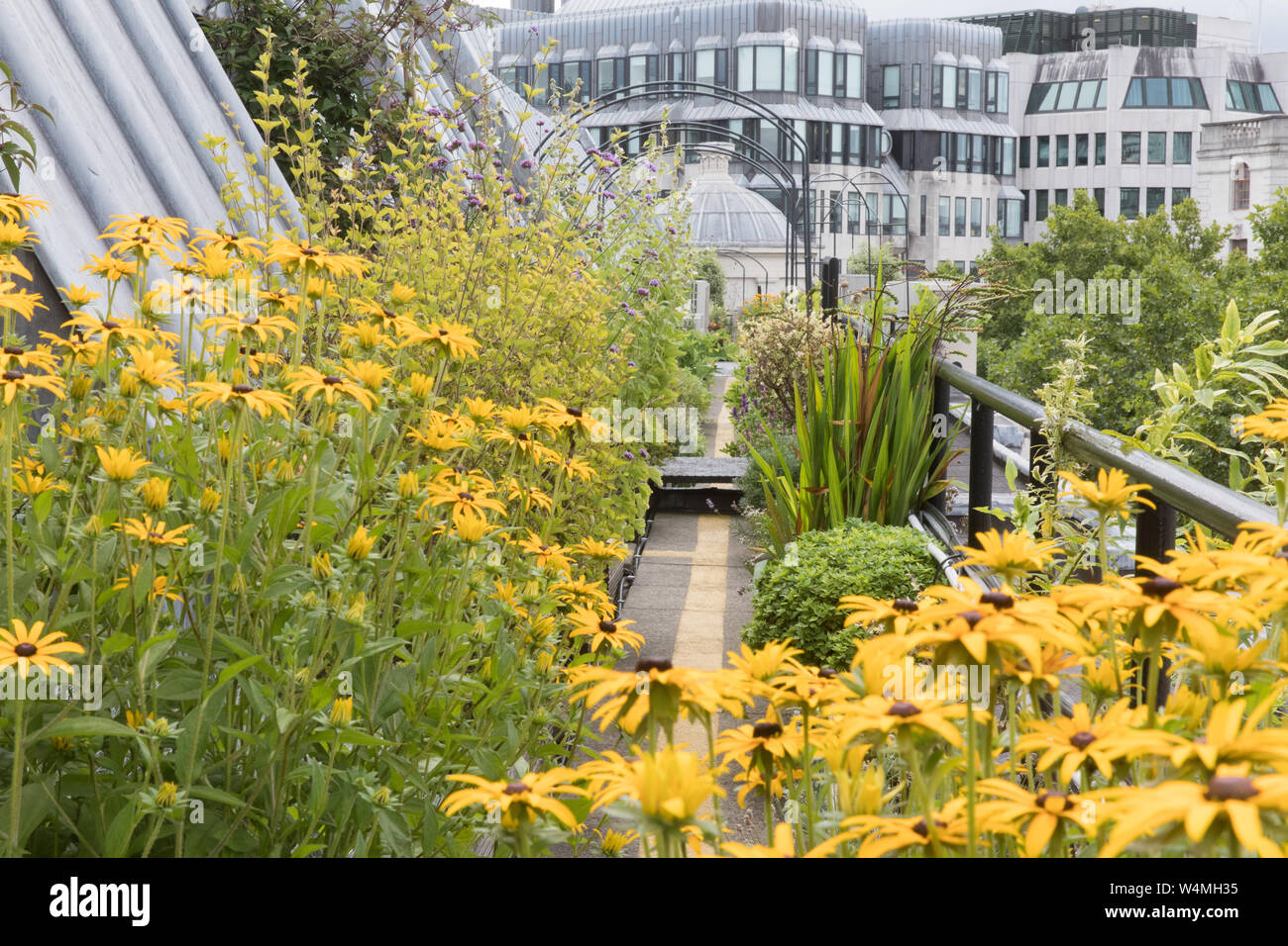 Strand Skyline Garden Coutts headquarters Strand Stock Photo - Alamy