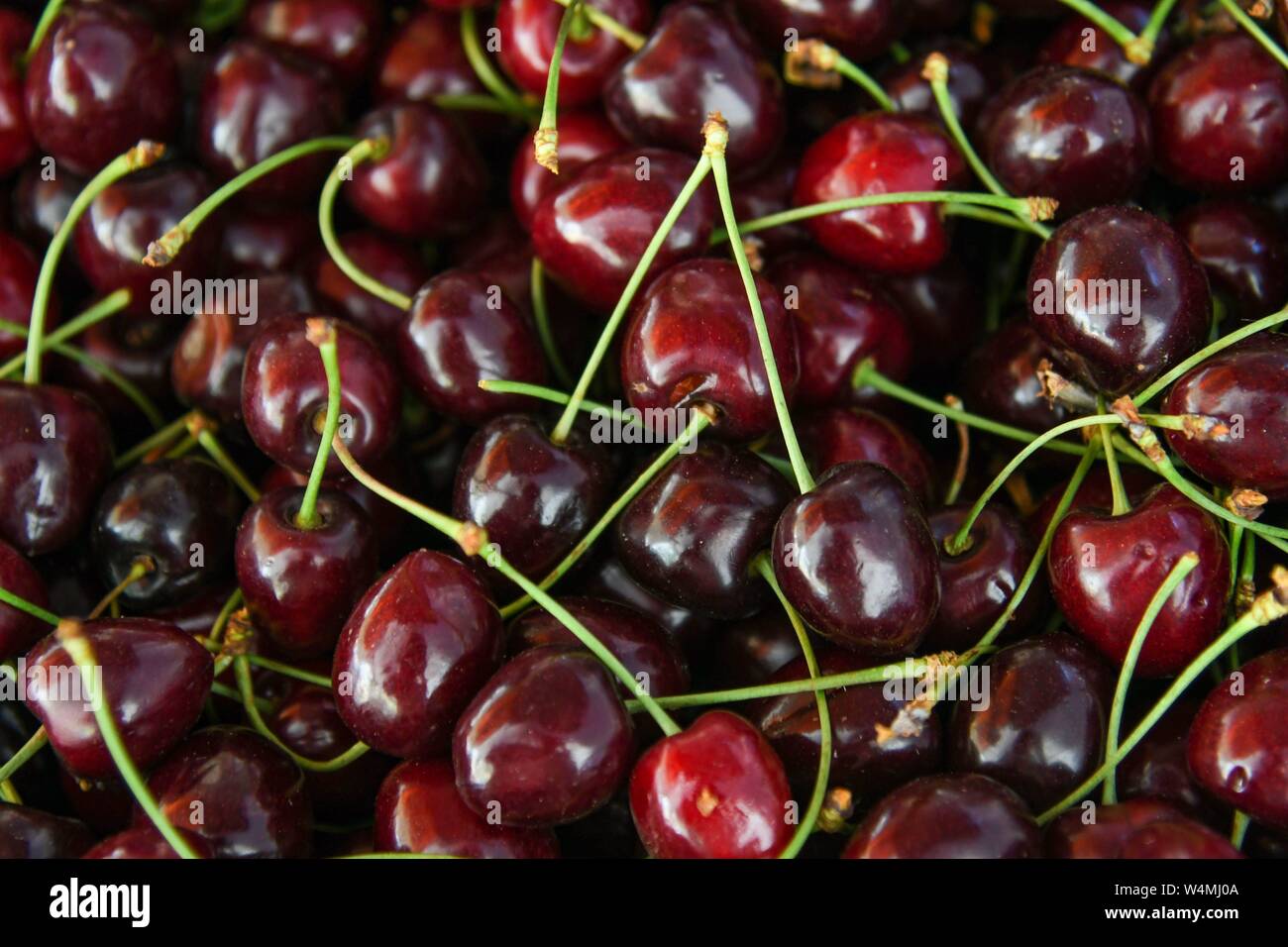 fresh cherries on the market, Freiburg, June 29, 2019 | usage worldwide ...