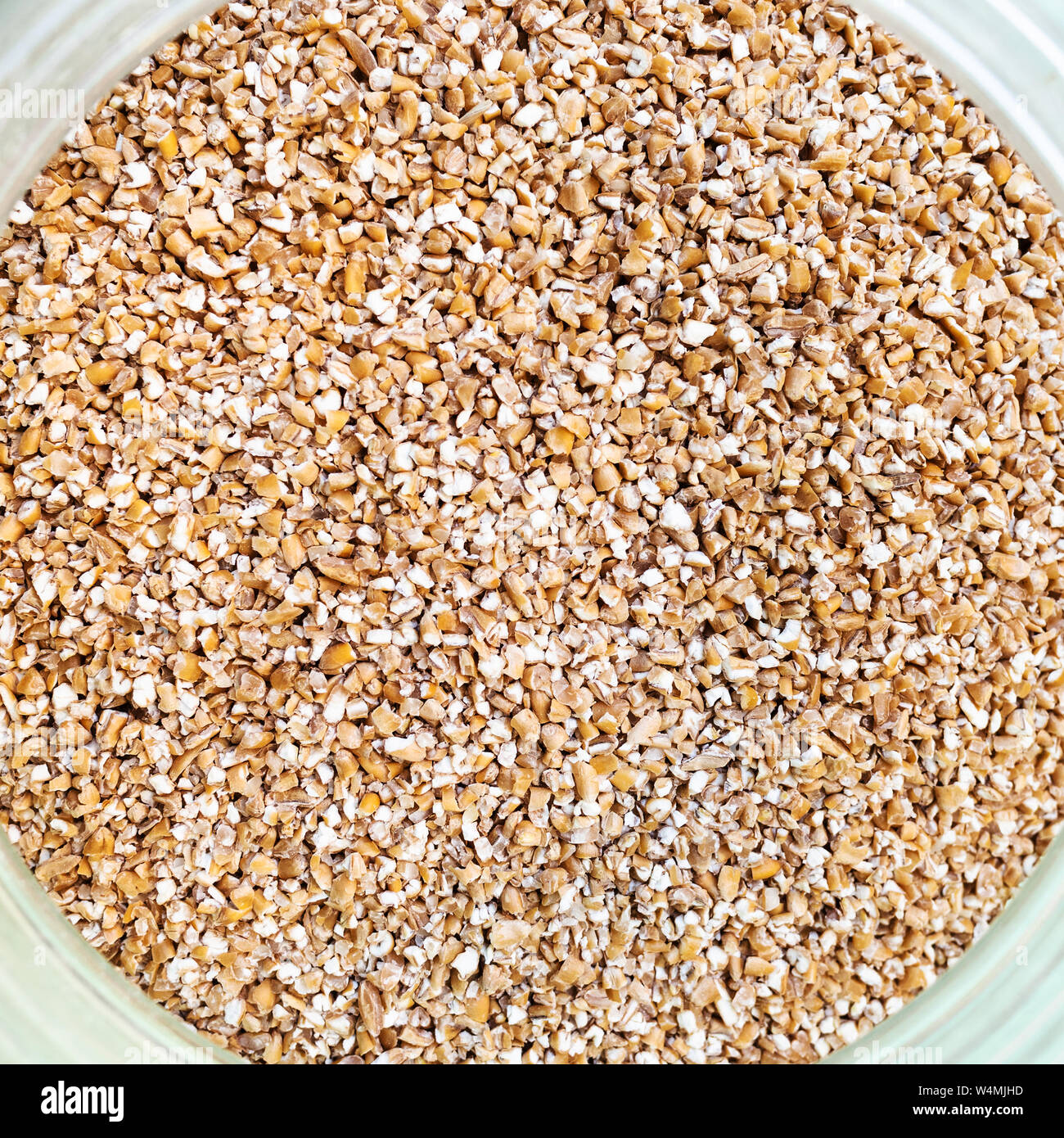 Broken Wheat Grains