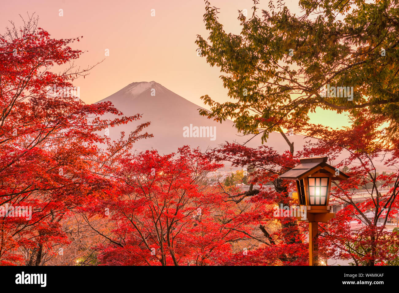 Mt. Fuji, Japan viewed from Yamanaka Lake with Fall Foliage Stock Photo ...
