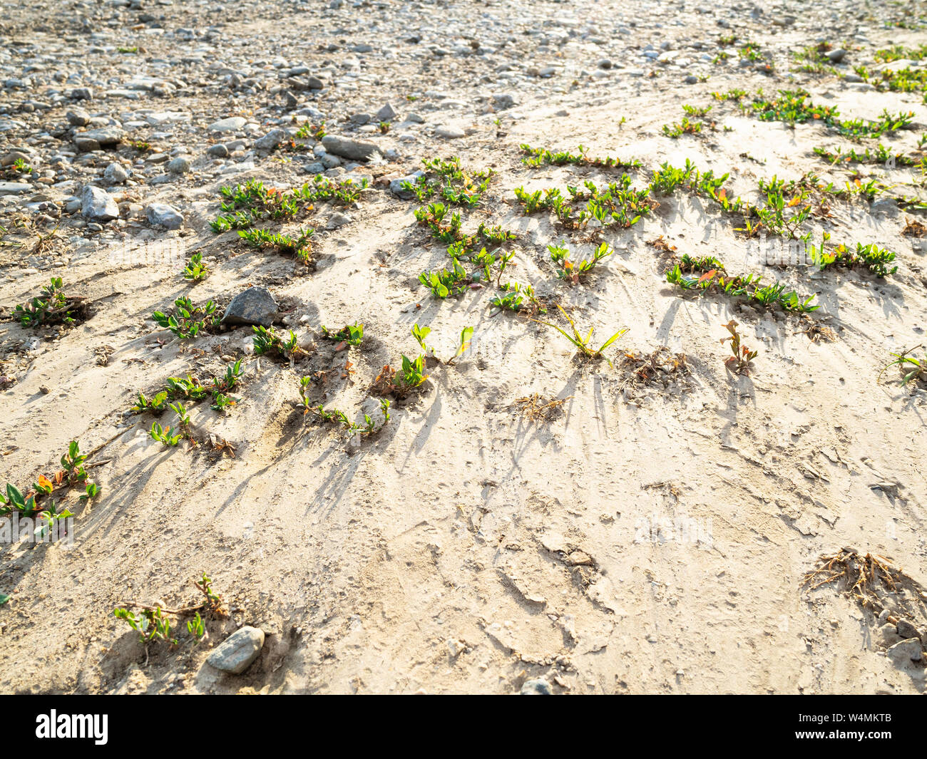 The sandlot hi-res stock photography and images - Alamy