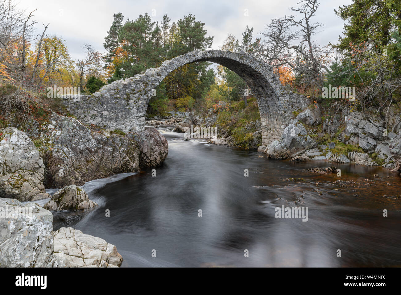 Pack Horse Bridge in Carrbridge Scotland Stock Photo - Alamy