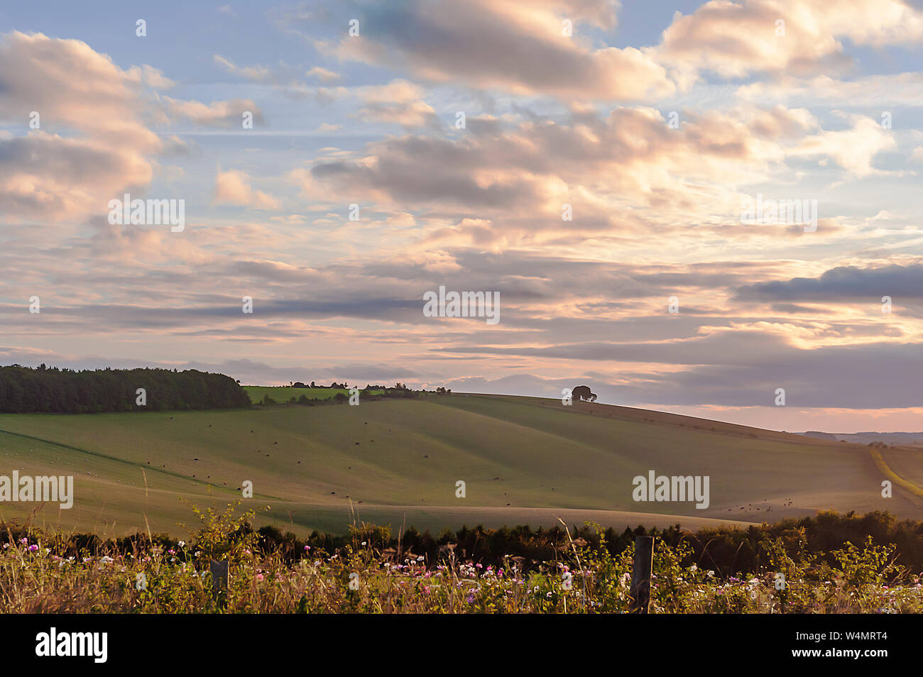 Warm scenery hi-res stock photography and images - Alamy