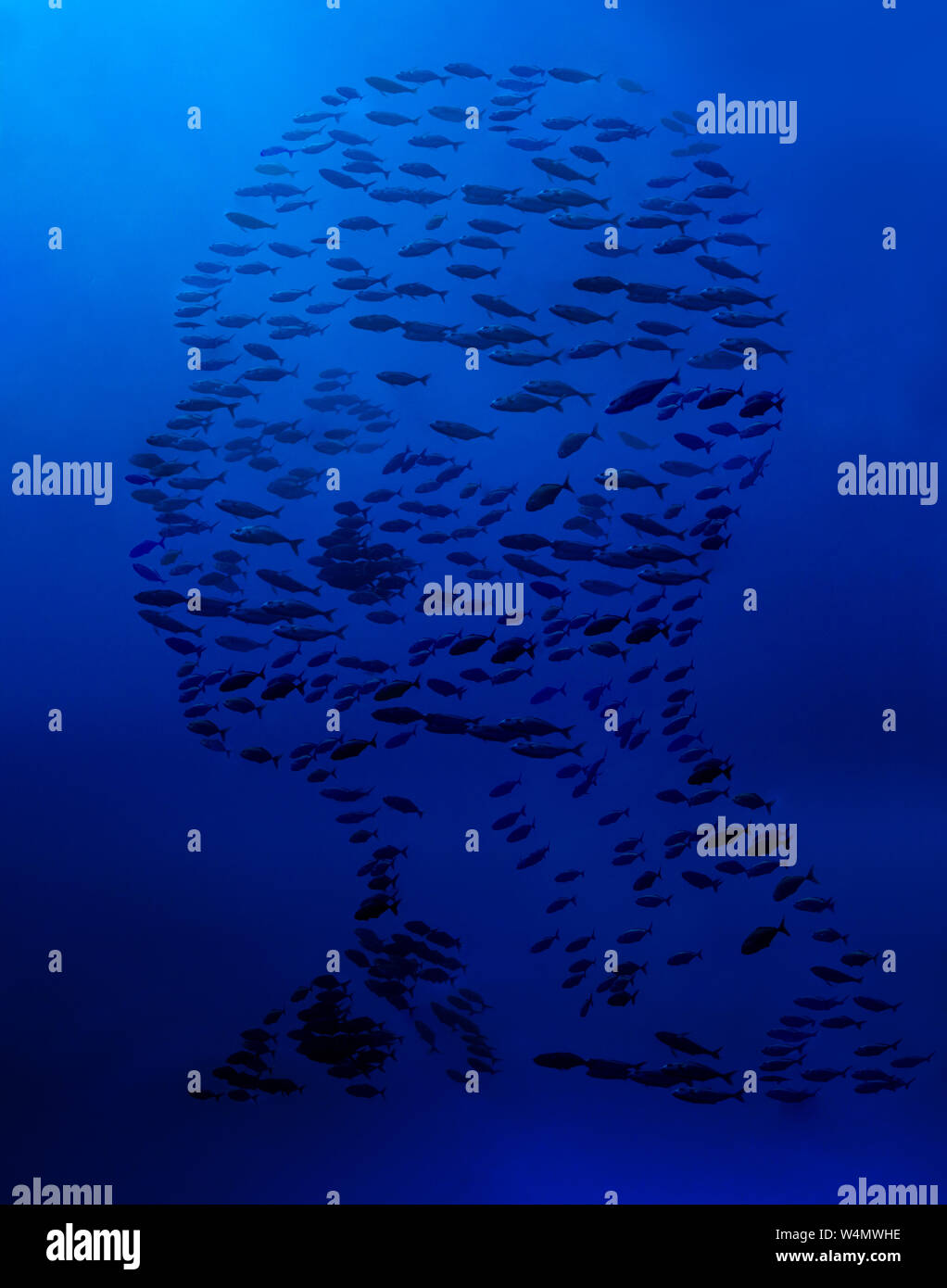 Man profile face underwater hi-res stock photography and images - Alamy