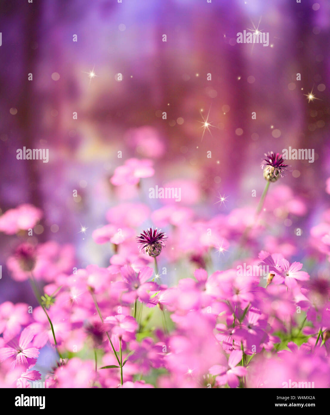Colorful spring flowers backdrop,3d illustration for your fantasy scene ...