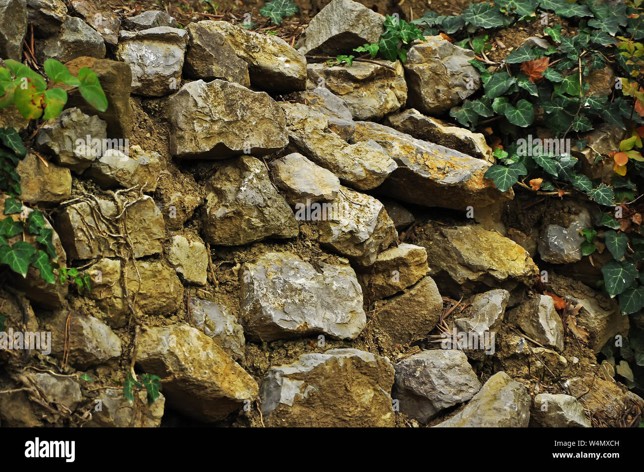 Rock stone wall build forest hi-res stock photography and images - Alamy