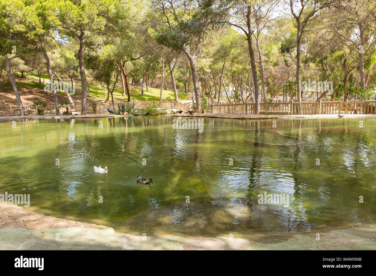 Reina Sofia Park Guardamar del Segura Costa Blanca Spain tourist ...
