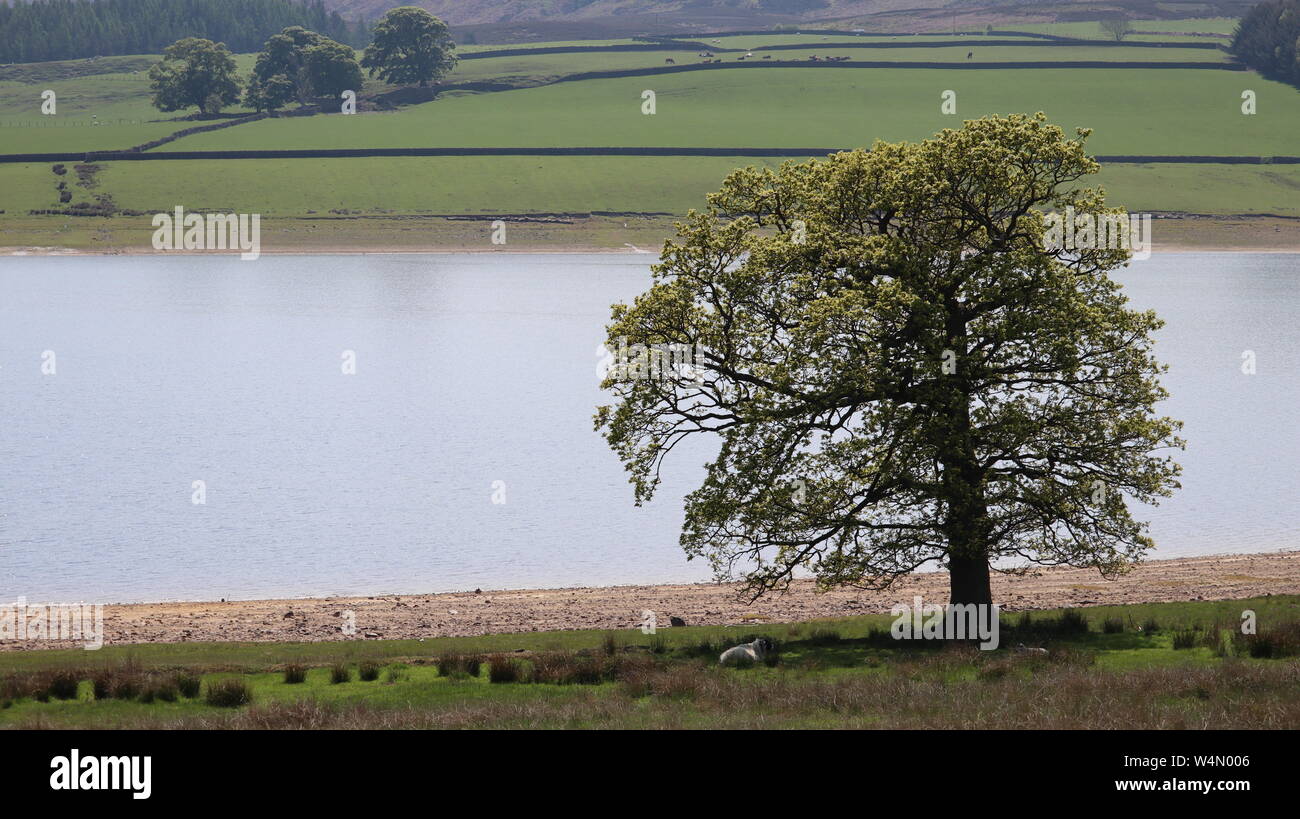 scenic view of derwent reservoir Stock Photo - Alamy