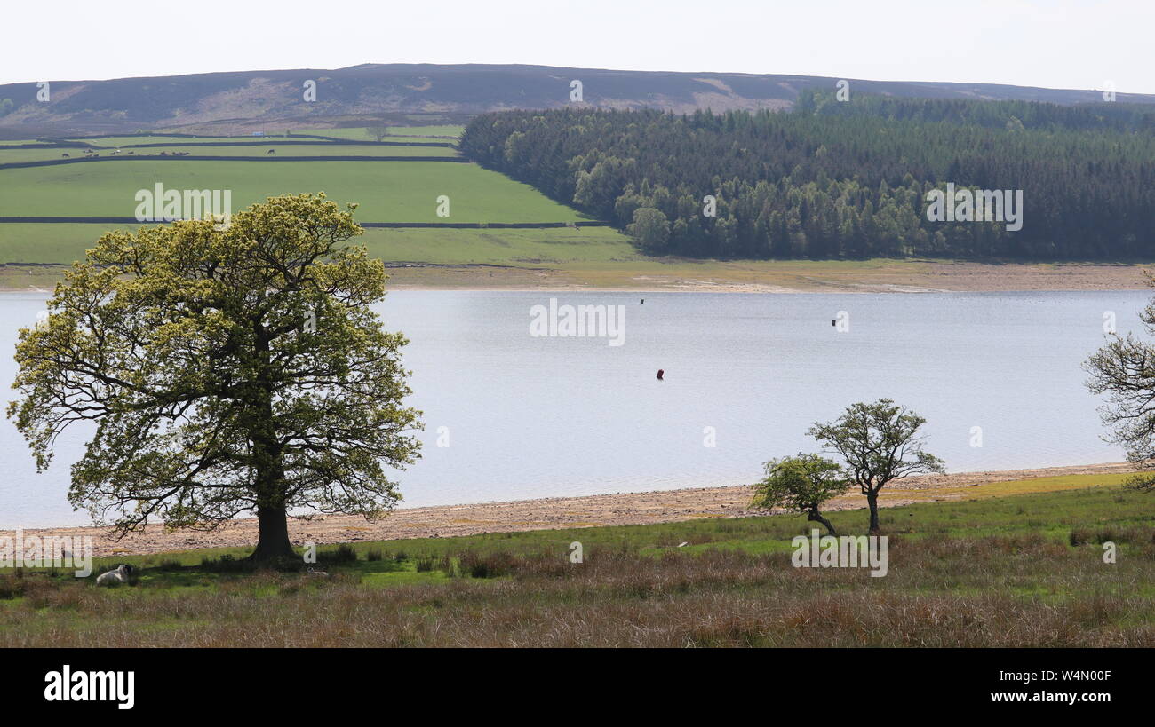 scenic view of derwent reservoir Stock Photo - Alamy