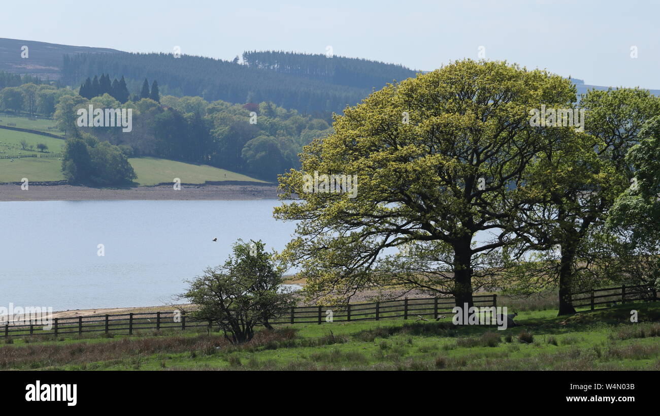 scenic view of derwent reservoir Stock Photo - Alamy