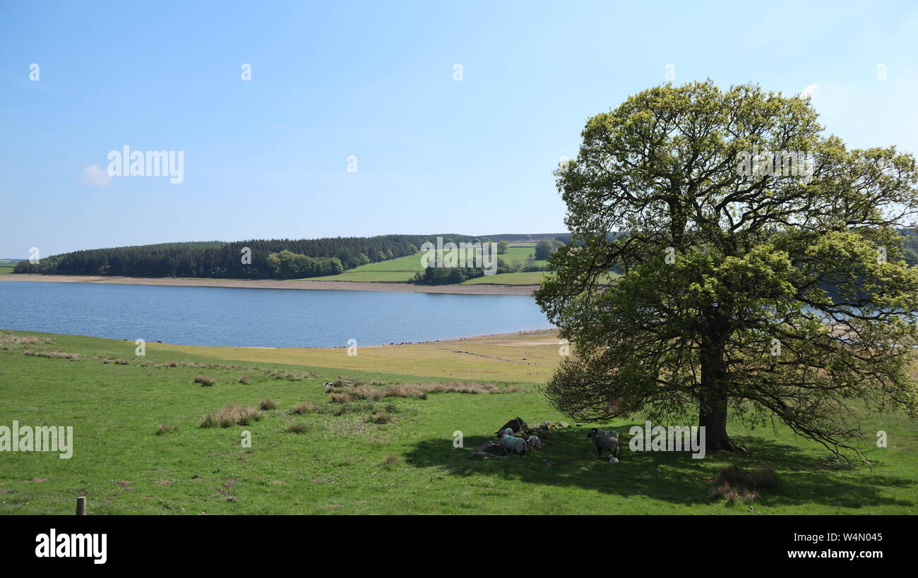 scenic view of derwent reservoir Stock Photo - Alamy