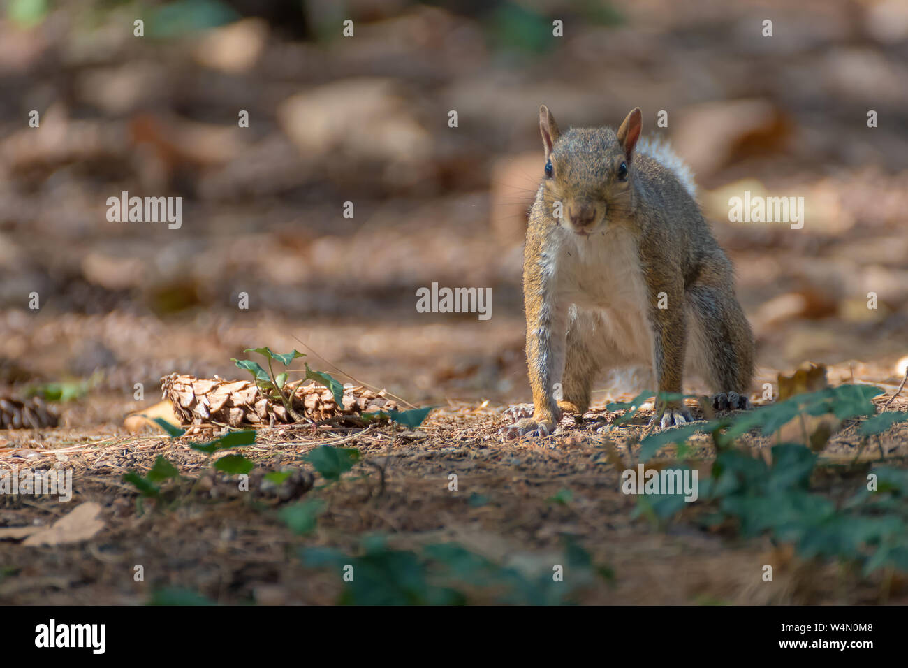 Parco Castello Legnano Stock Photo - Alamy