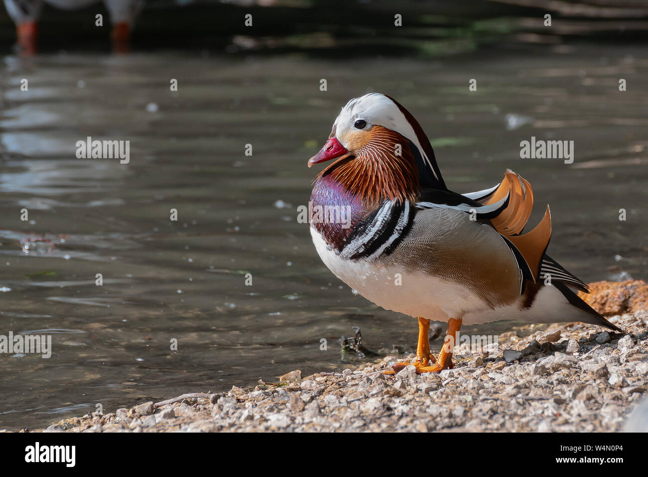 Parco Castello Legnano Stock Photo - Alamy