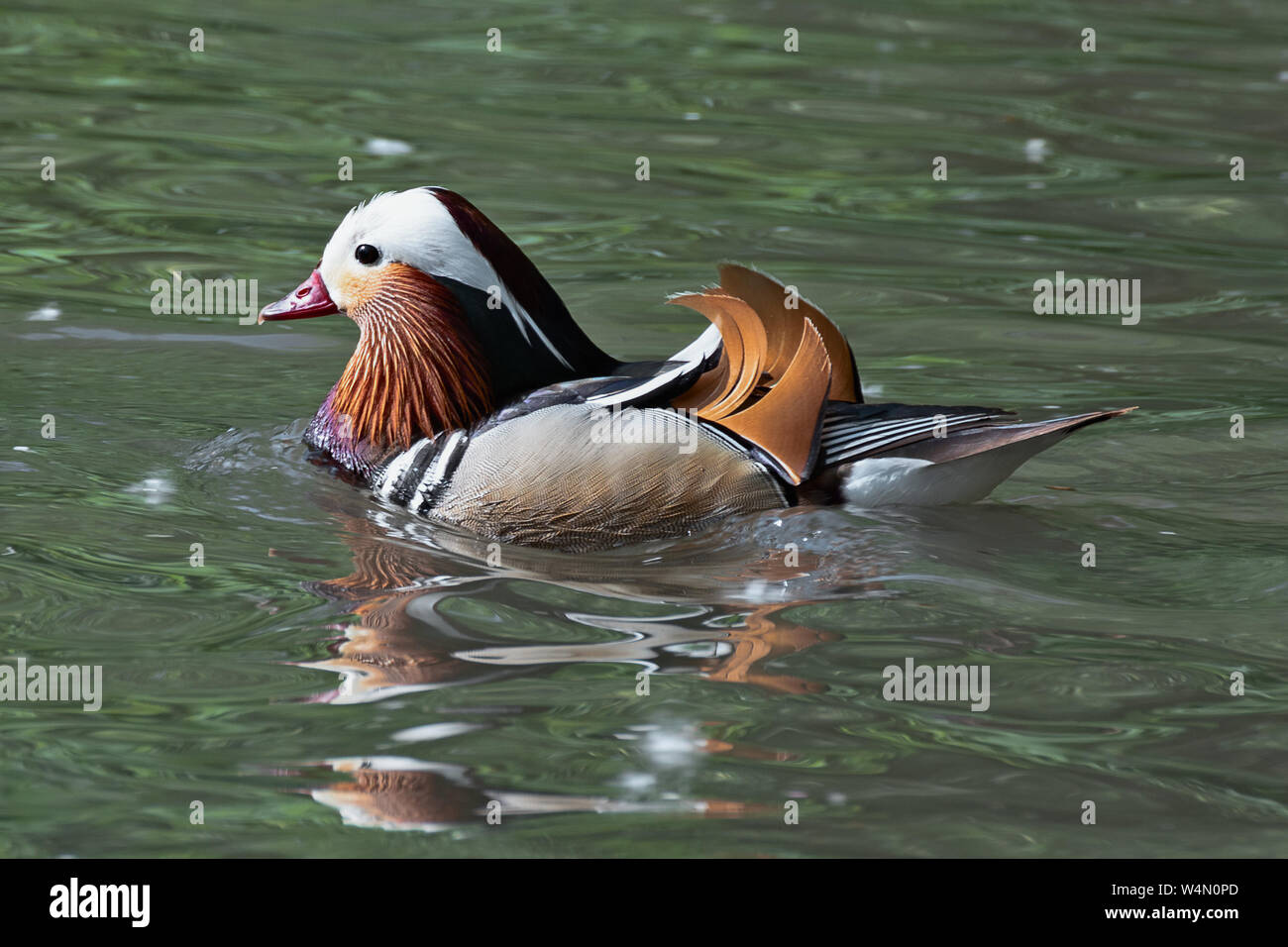 Parco Castello Legnano Stock Photo - Alamy