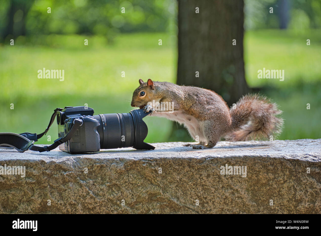 Parco Castello Legnano Stock Photo - Alamy