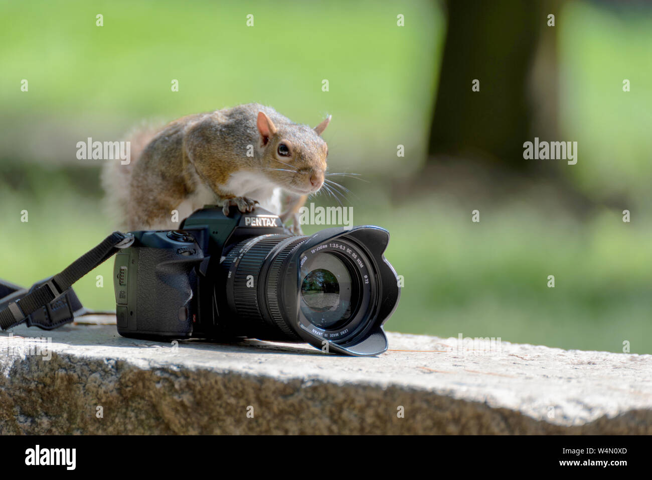 Parco Castello Legnano Stock Photo - Alamy