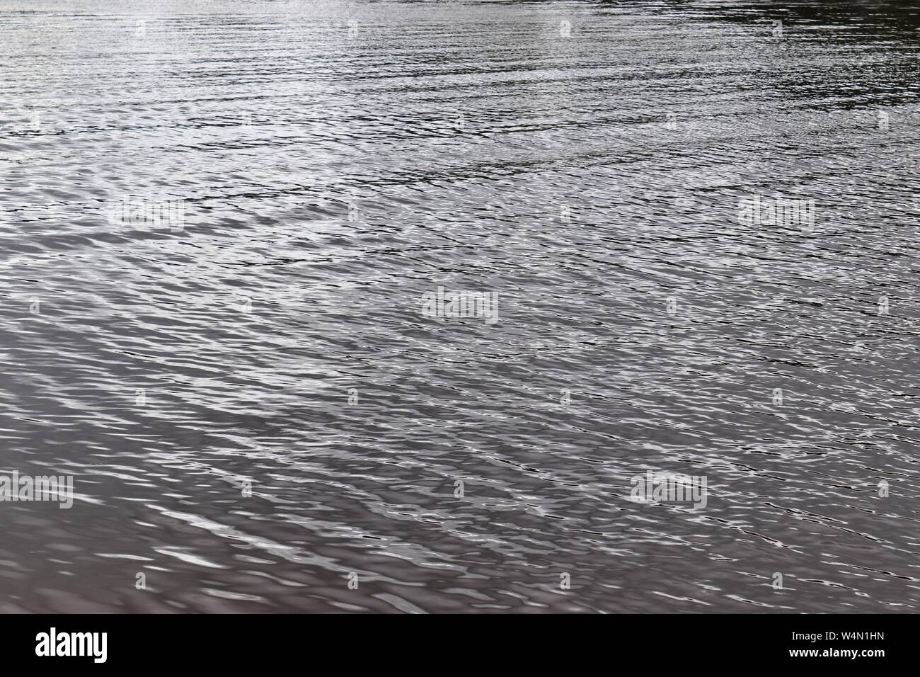 Close up view on water surfaces and coasts at a big lake Stock Photo ...
