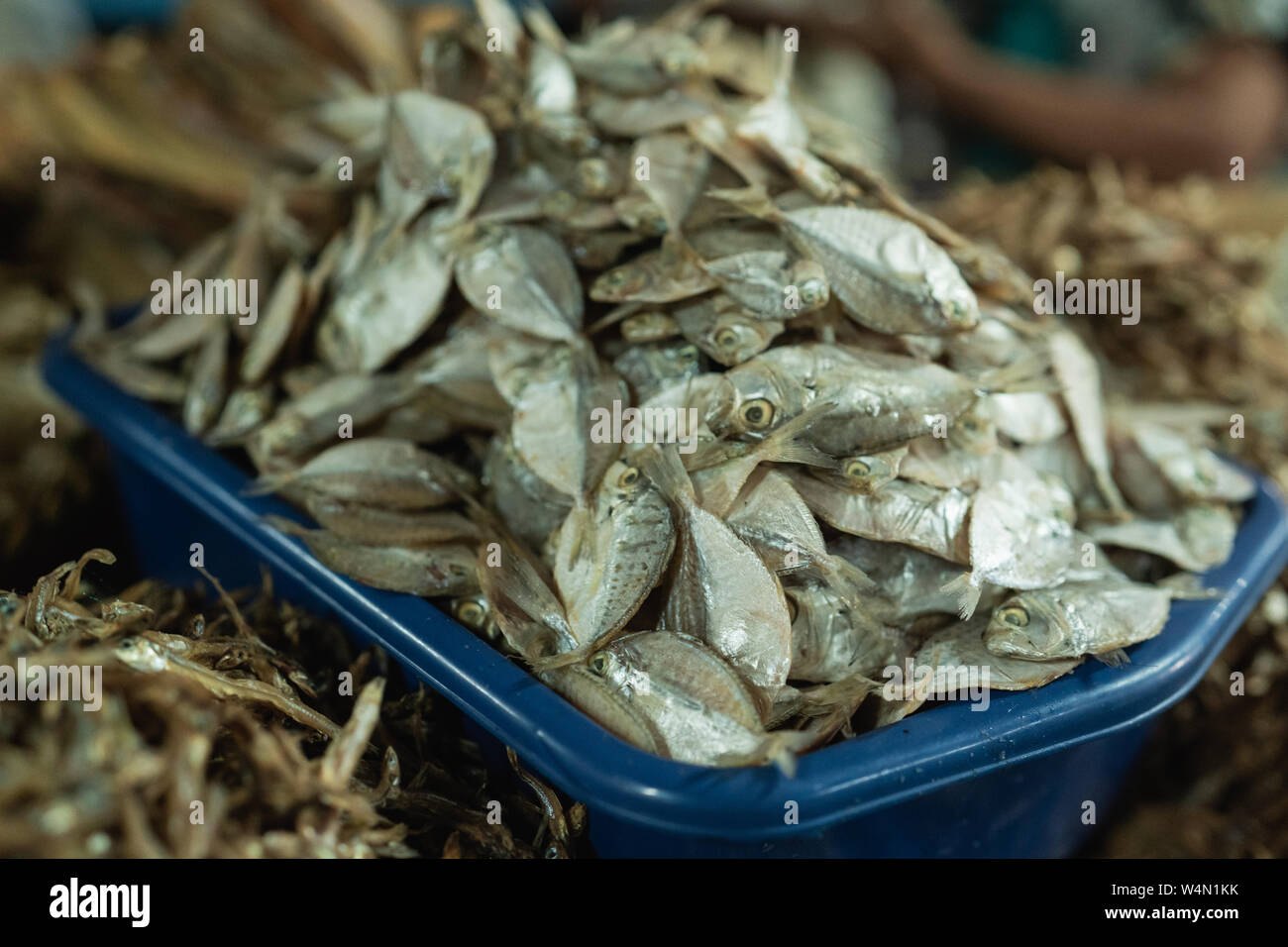 Fish on trays hi-res stock photography and images - Alamy