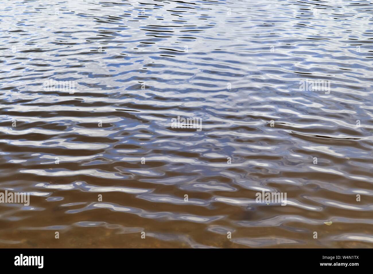 Close up view on water surfaces and coasts at a big lake Stock Photo ...