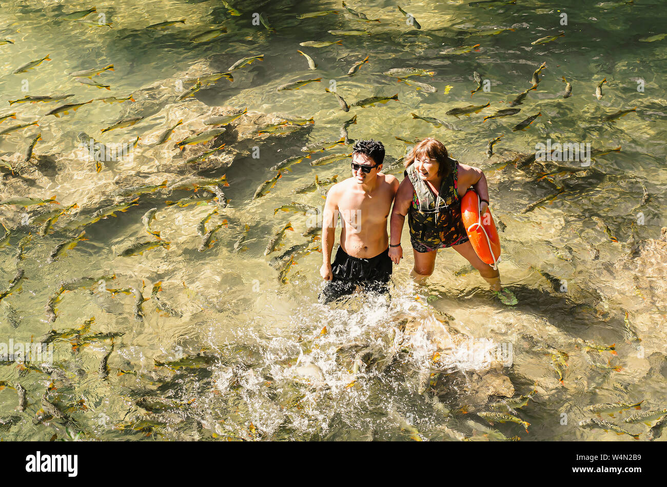 Couple of tourists on the transparent water of a river of Bonito MS, Brazil surrounded by a ...