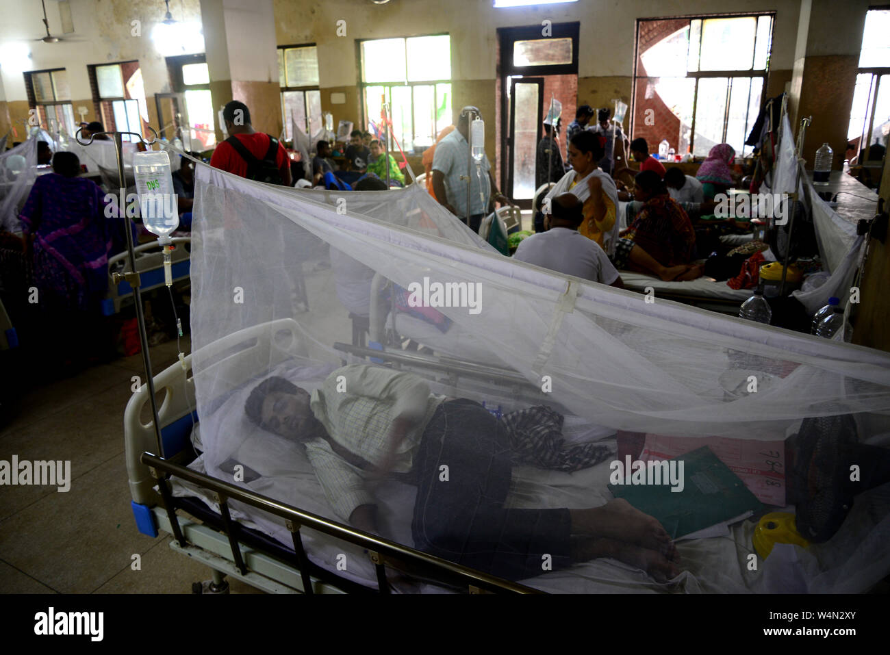 Patients covered with mosquito nets who are suffering from dengue fever ...