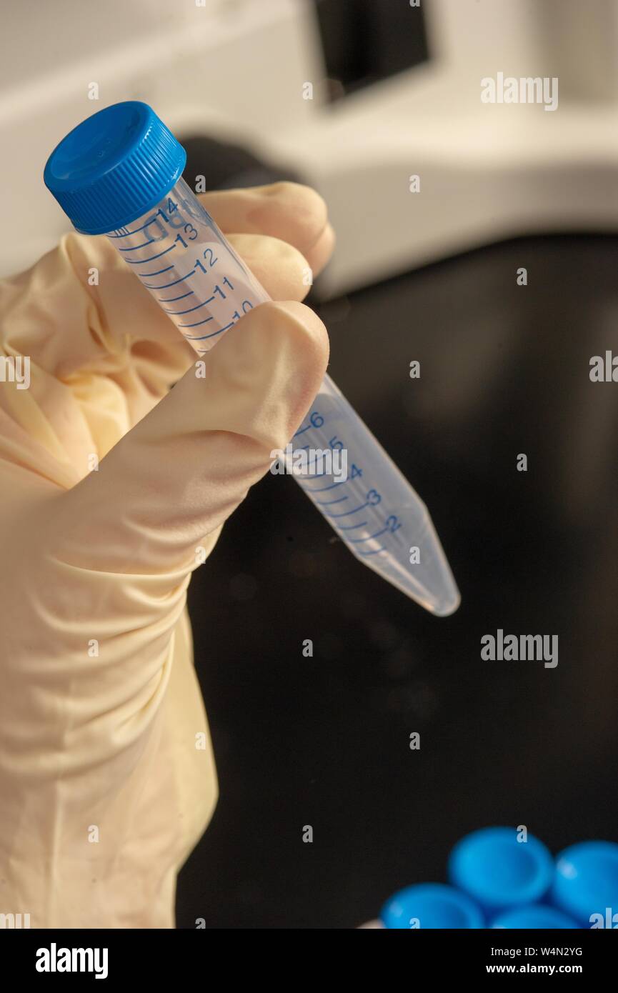 Close-up of the gloved hand of a researcher holding a plastic vial or ...