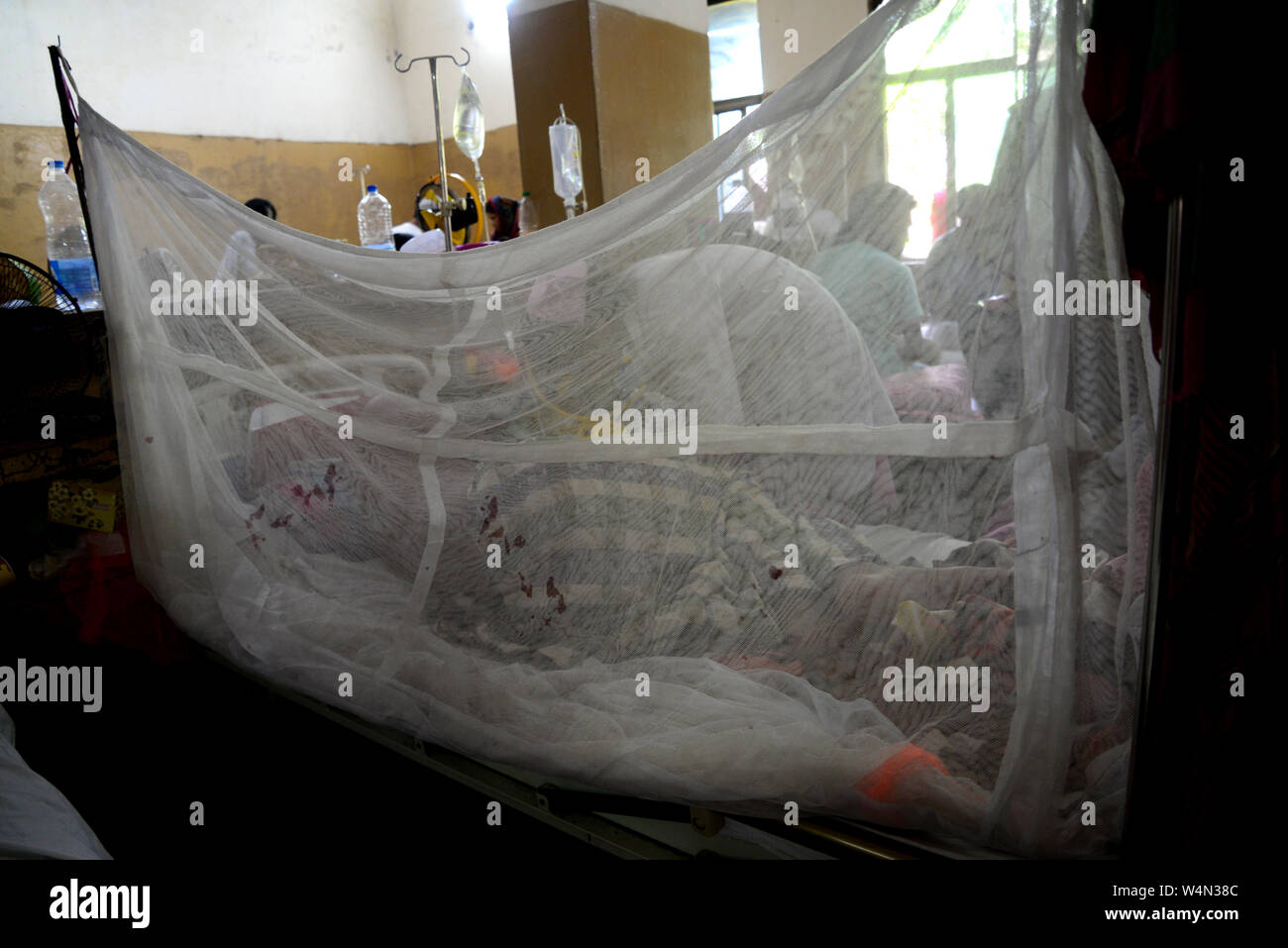 Patients covered with mosquito nets who are suffering from dengue fever ...
