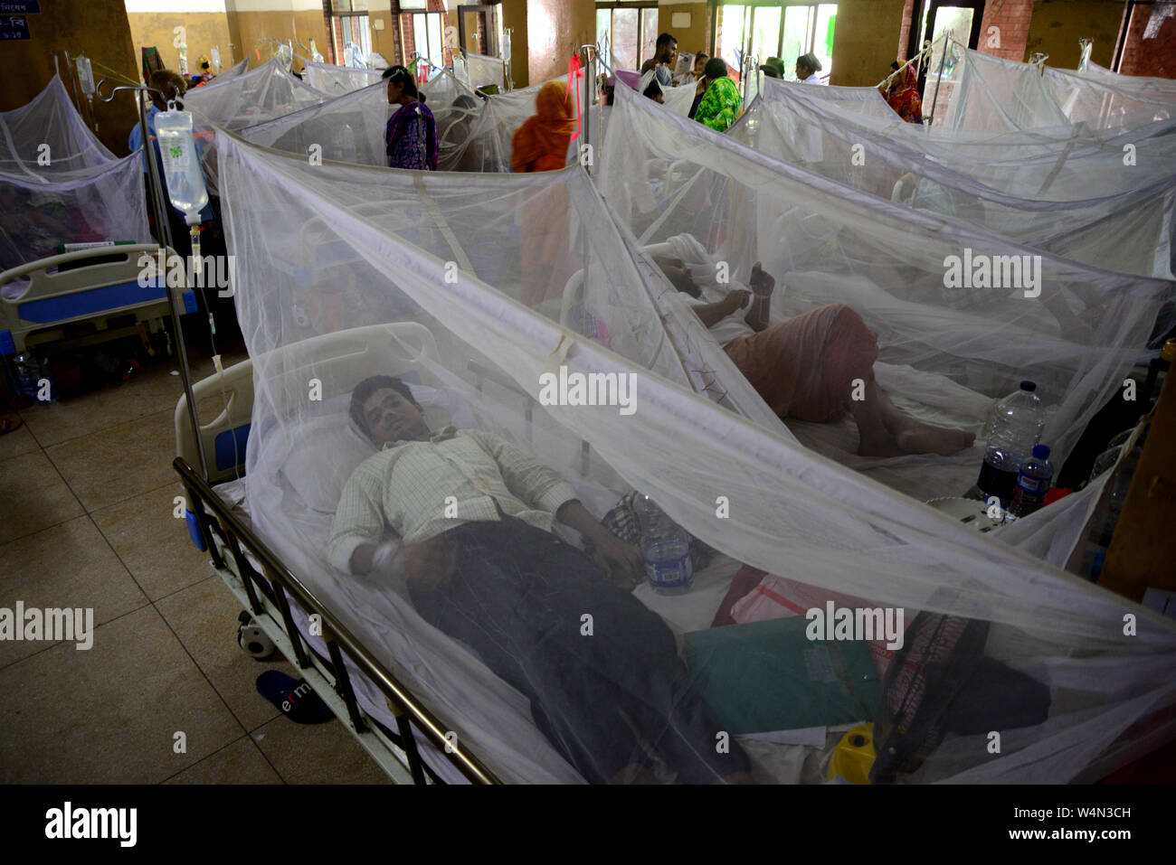 Patients covered with mosquito nets who are suffering from dengue fever ...