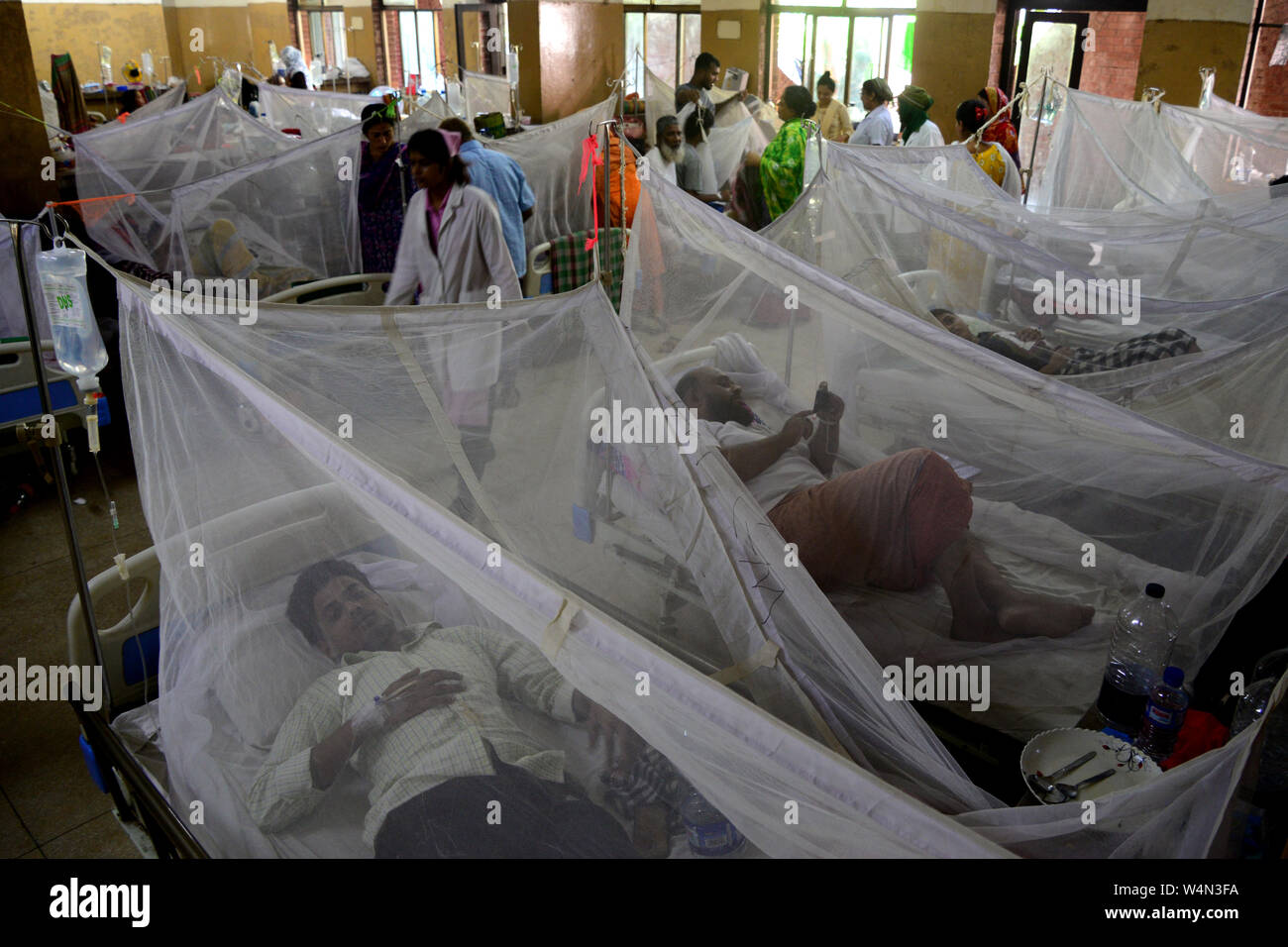 Patients covered with mosquito nets who are suffering from dengue fever ...
