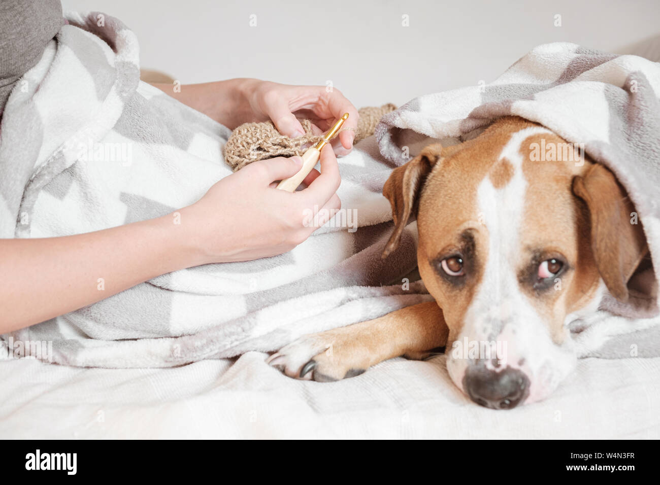 Spending time in bed and doing knitting, lazy cozy sleep-in concept ...