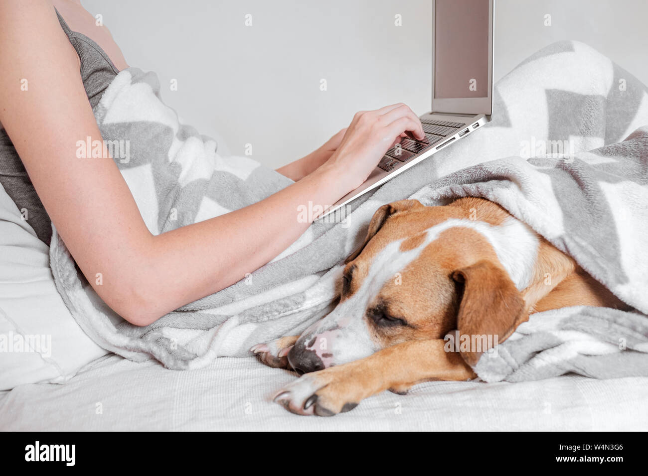 Work in bed hi-res stock photography and images - Alamy