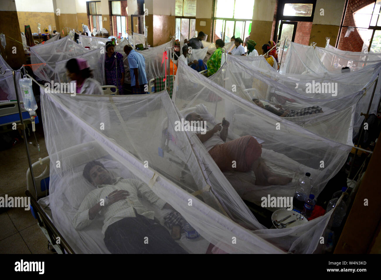 Patients covered with mosquito nets who are suffering from dengue fever ...