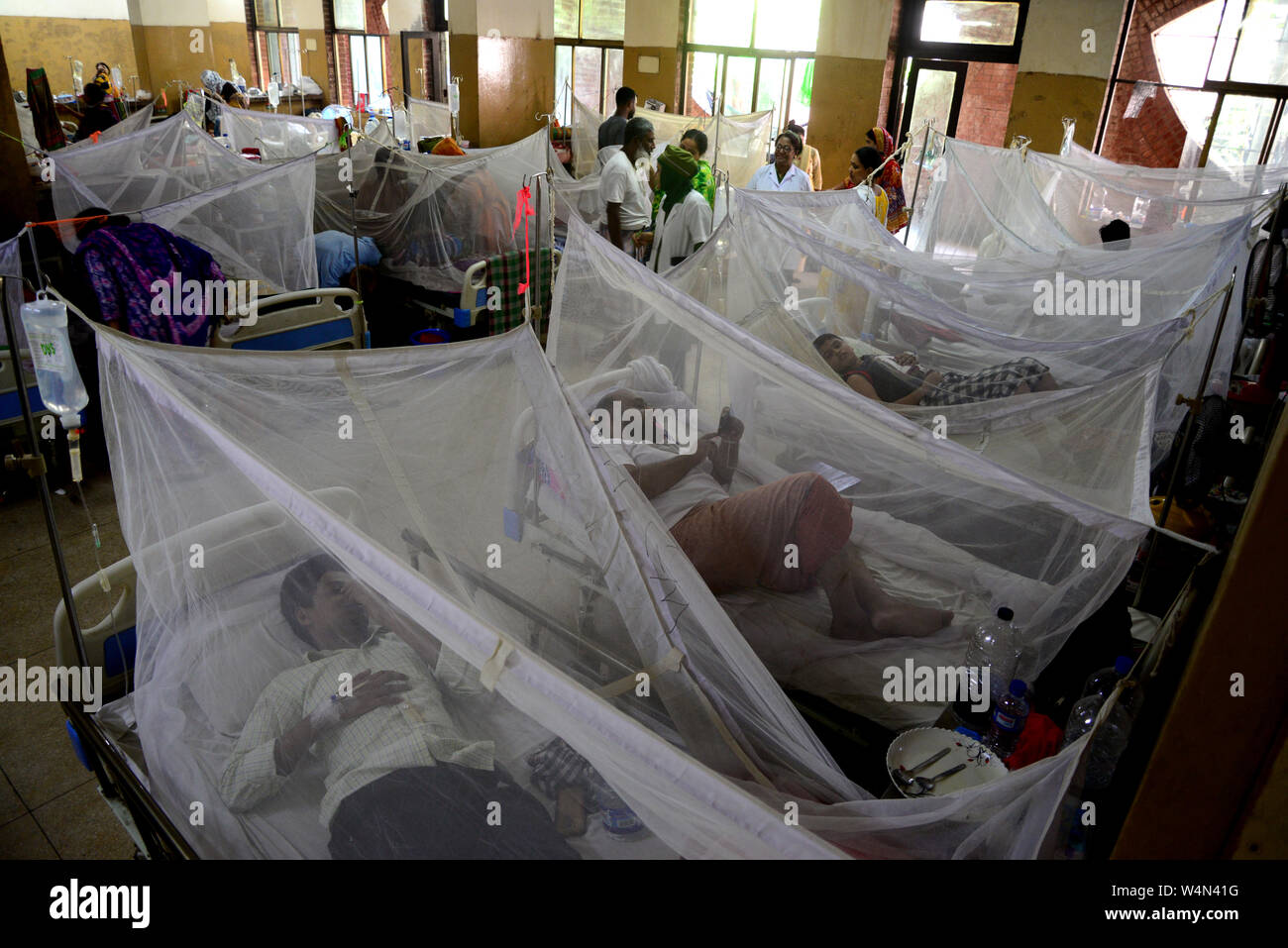 Patients covered with mosquito nets who are suffering from dengue fever ...