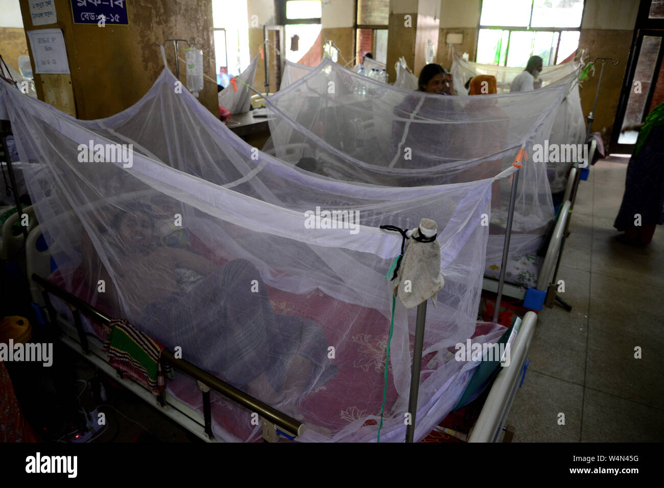 Patients covered with mosquito nets who are suffering from dengue fever ...