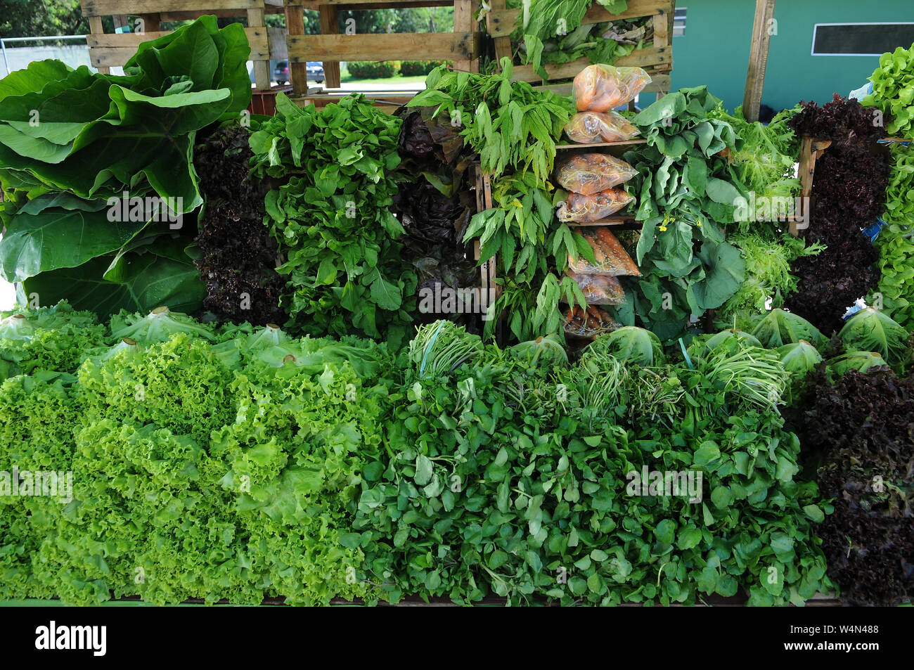 Rio de Janeiro, Brazil, April 22, 2018. Vegetables exhibited and being ...
