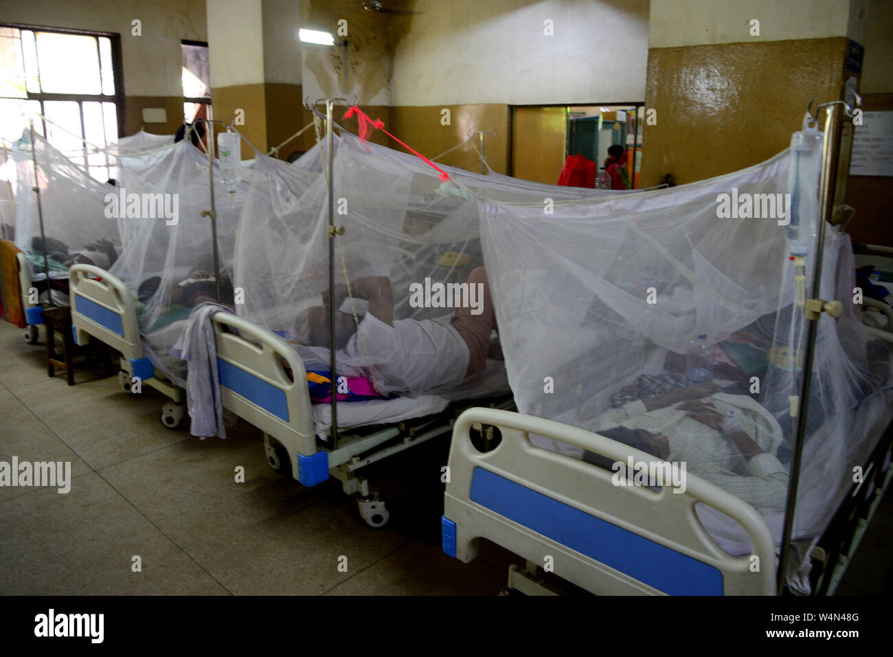 Patients covered with mosquito nets who are suffering from dengue fever ...