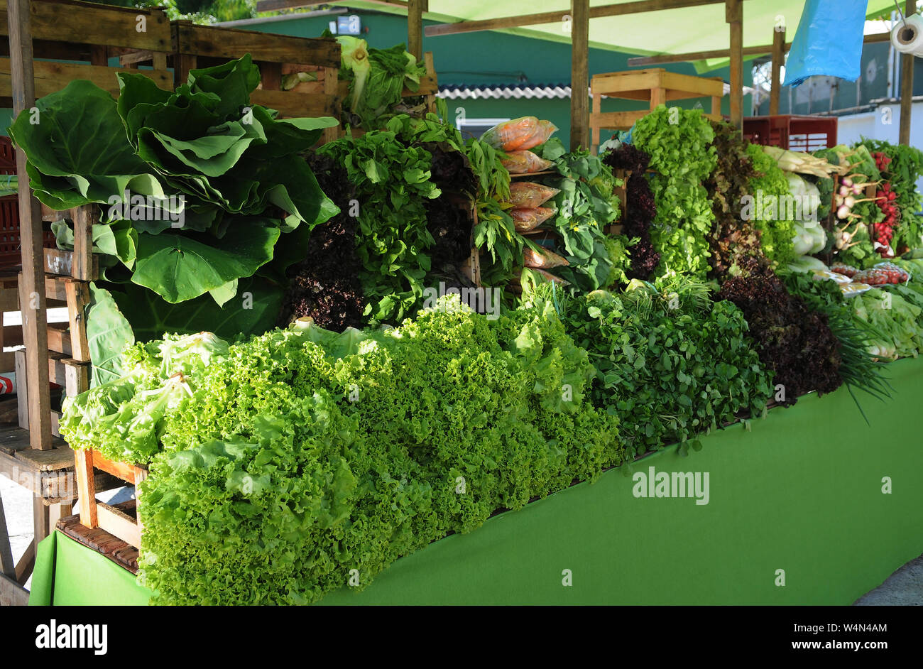 Rio de Janeiro, Brazil, April 22, 2018. Vegetables exhibited and being ...
