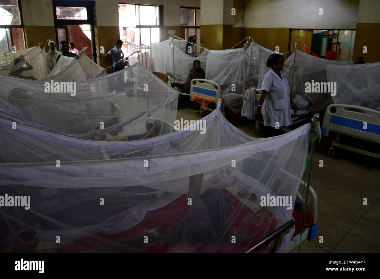 Patients covered with mosquito nets who are suffering from dengue fever ...