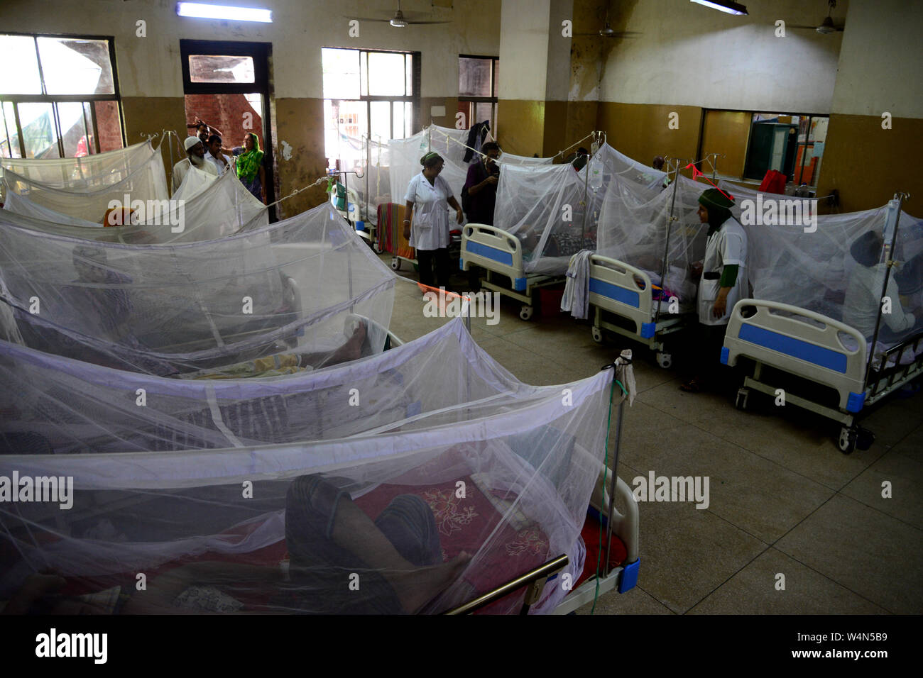 Patients covered with mosquito nets who are suffering from dengue fever ...