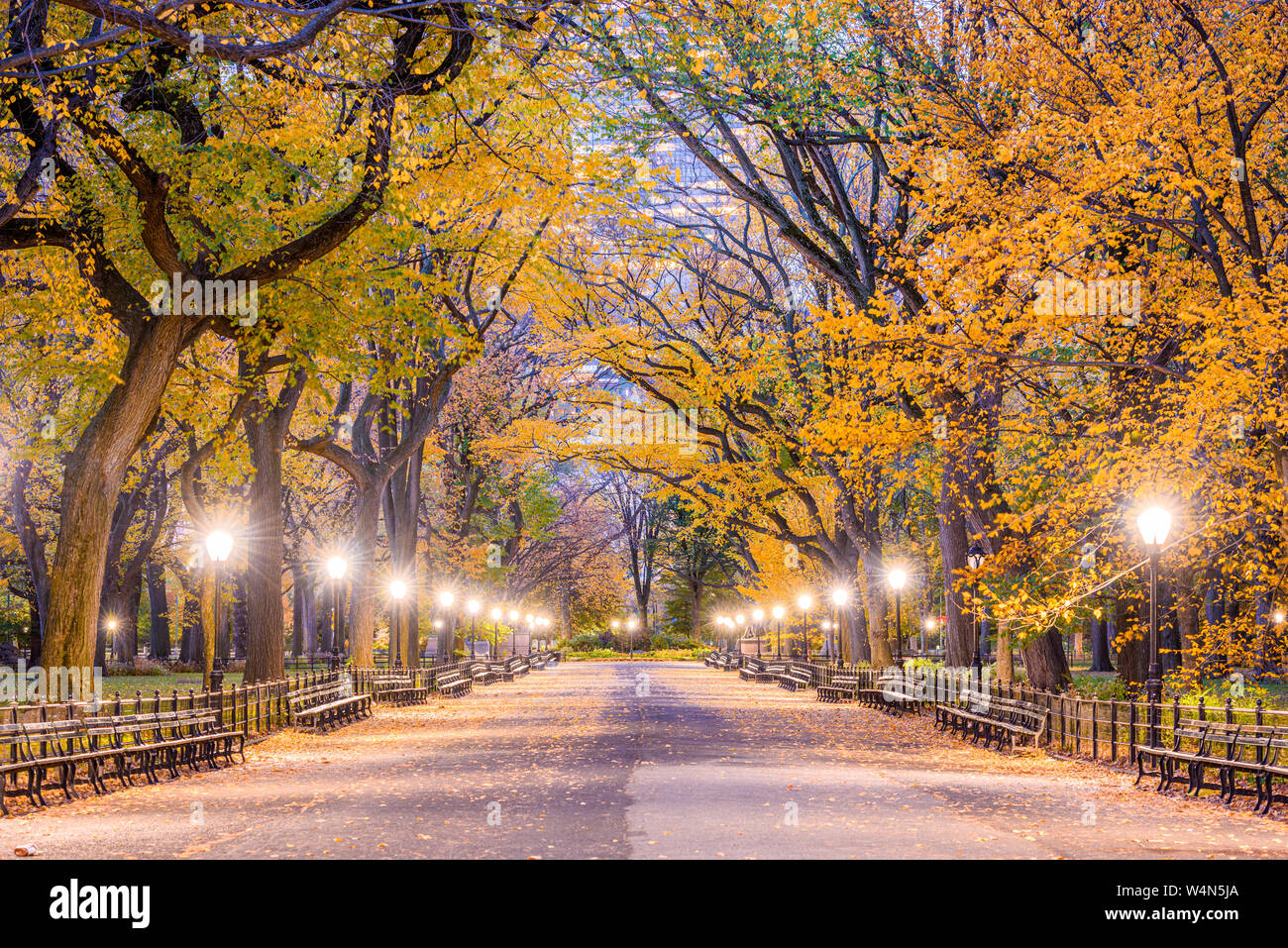 Central park mall hi-res stock photography and images - Alamy