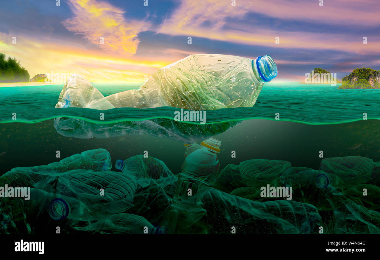 Plastic pollution in marine environmental problems Animals in the sea ...