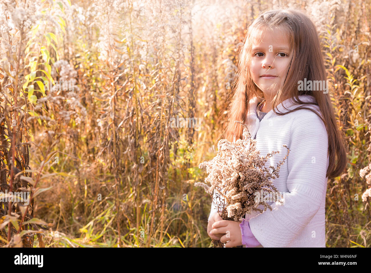 Photo of Happy little girl posing among autumn yellow dry plants Stock ...