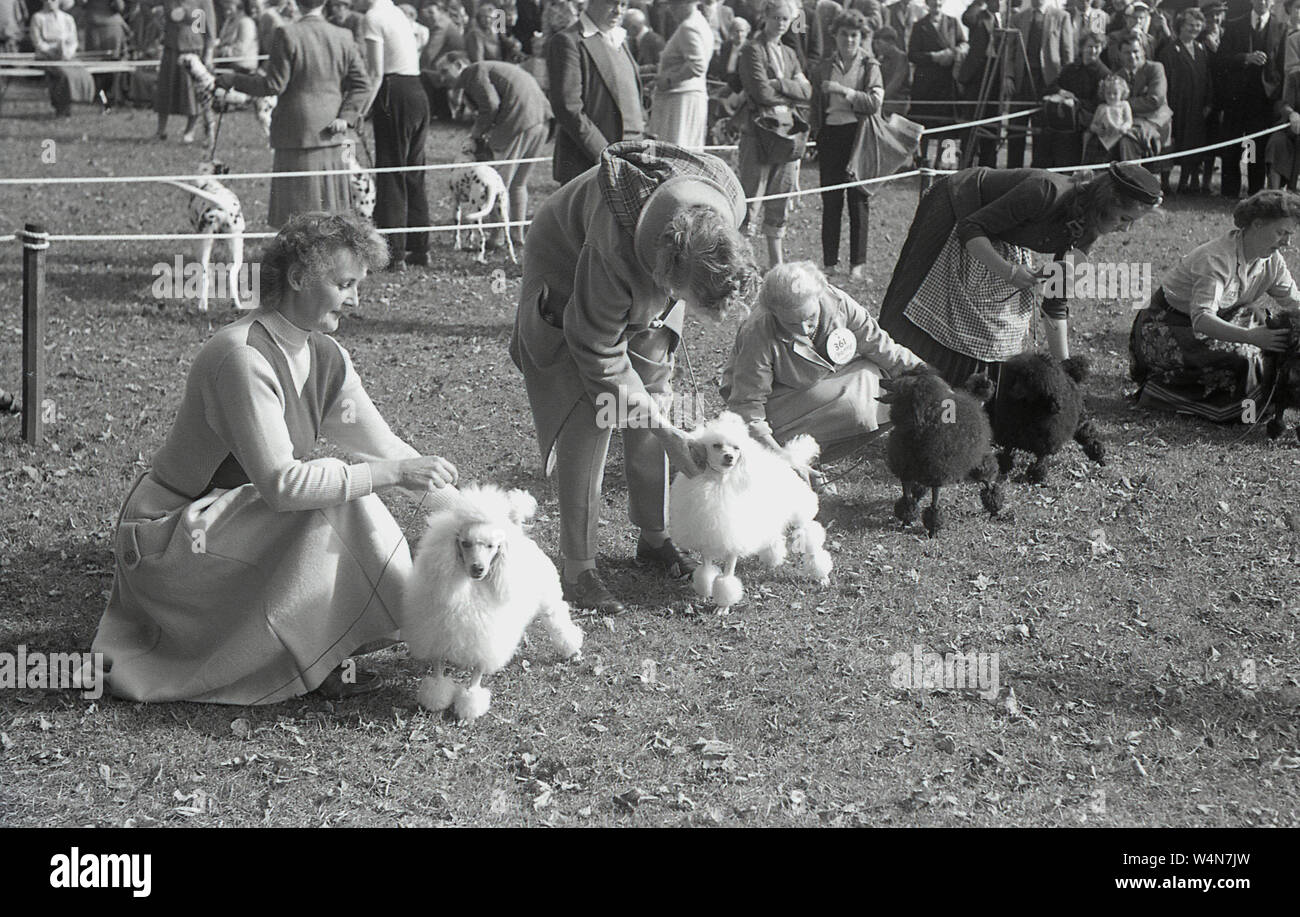 County fair 1950s hi-res stock photography and images - Alamy