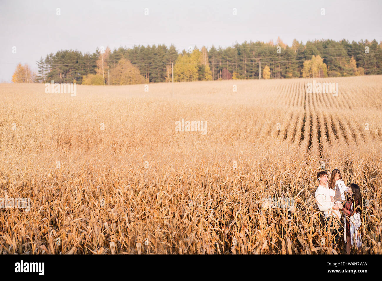 Children corn maze hi-res stock photography and images - Alamy