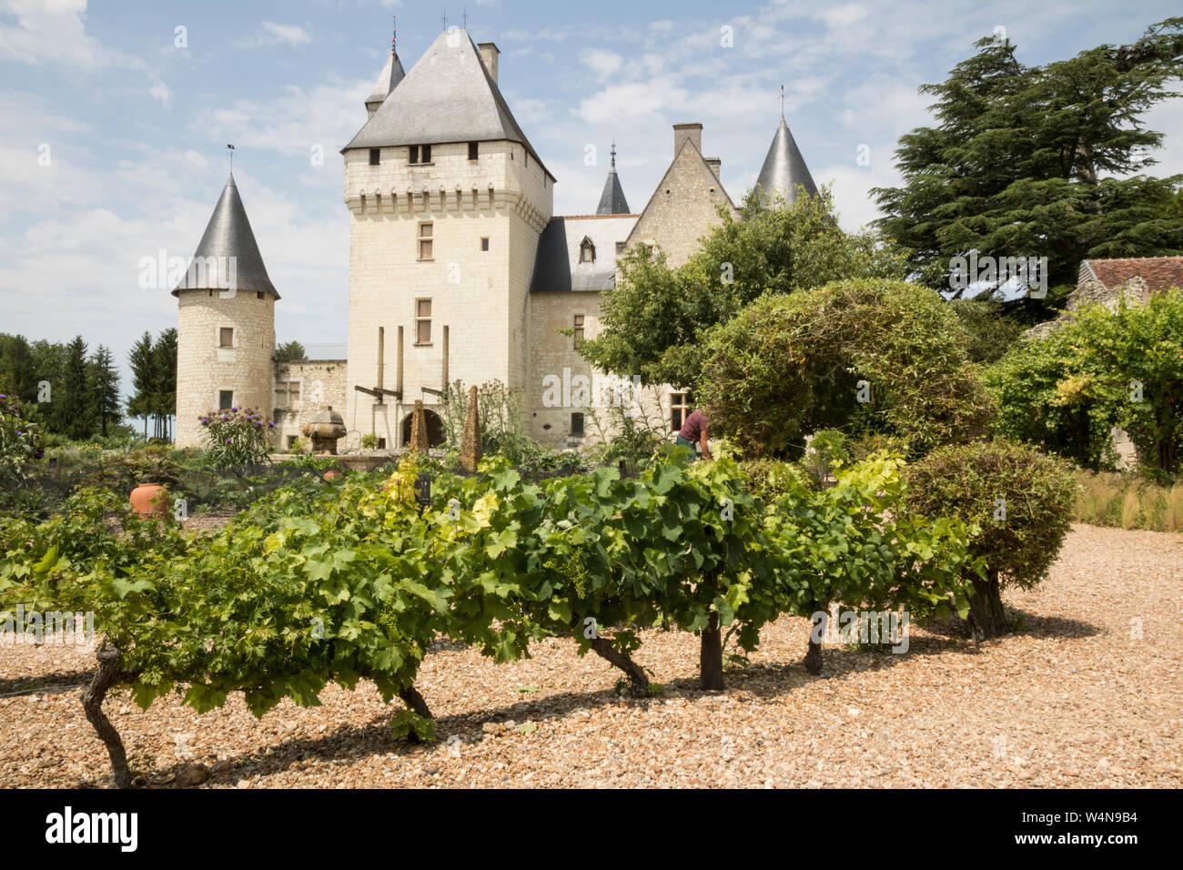 Loire vineyard chateau hi-res stock photography and images - Alamy