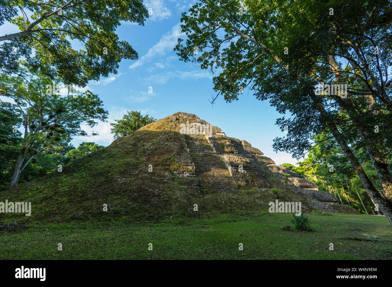 Guatemala, Mayan civilization ruins at Tikal National Park, a UNESCO ...