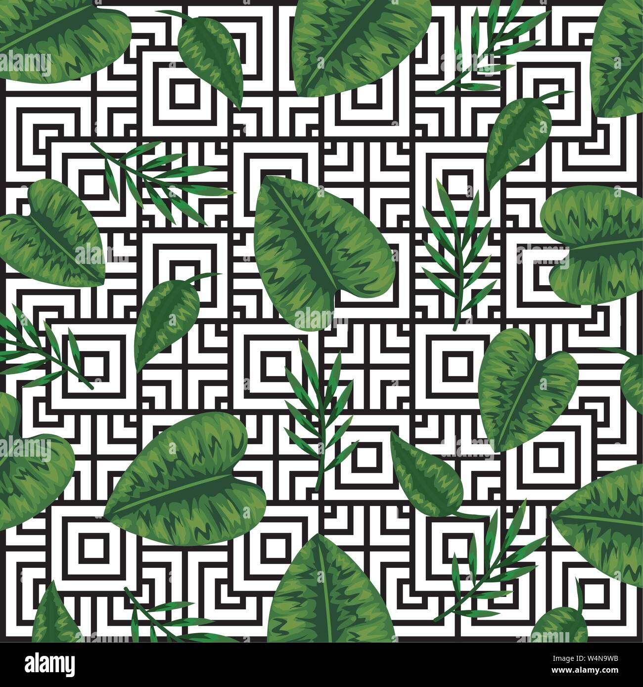 geometric square lines and tropical background Stock Vector Image & Art ...